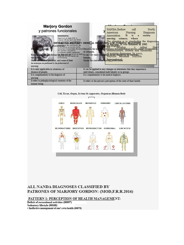 NANDA Nursing Diagnosis Patterns Guide | PDF | Medical Diagnosis ...