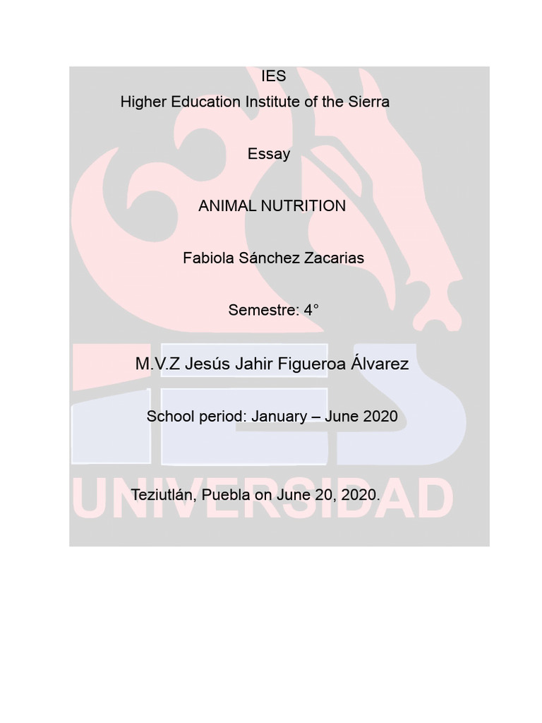 Essay. Animal Nutrition Fabiola Sánchez | PDF | Digestion | Stomach