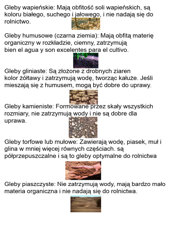 Rodzaje Gleb | PDF
