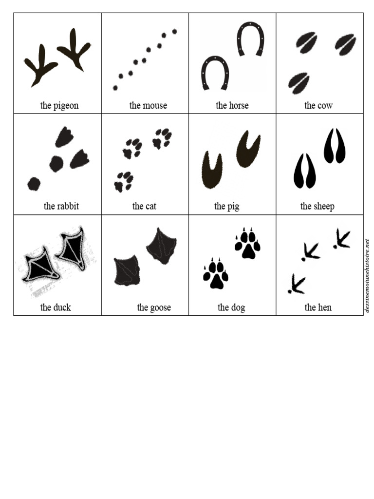 Memory Game - Farm Animal Footprints | PDF