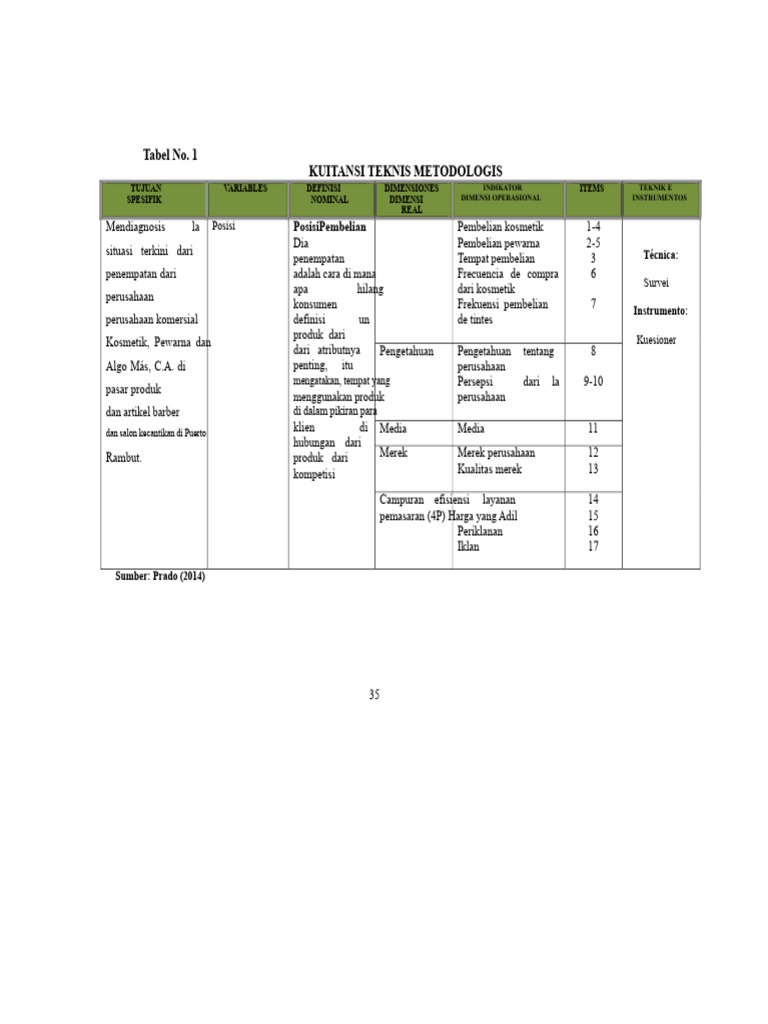 Model Kerangka Operasionalisasi Variabel | PDF