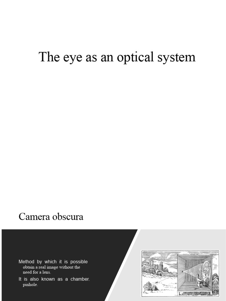 The Eye | PDF | Myopia | Eye