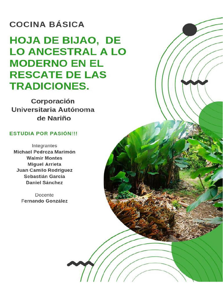 Bija Leaf: Reviving Culinary Traditions | PDF | Sustainability ...