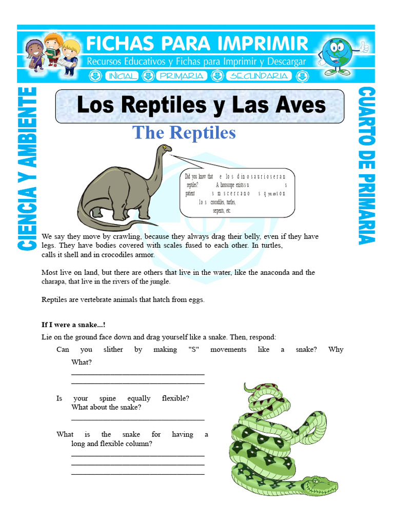 26 Worksheet Reptiles and Birds For Fourth Grade | PDF | Reptile | Snake