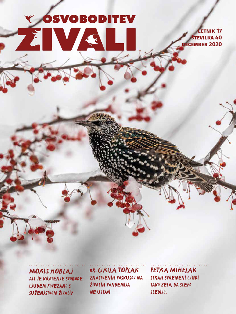 Revija 40 | PDF