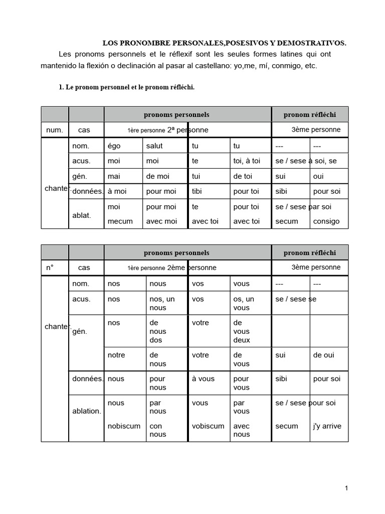 Pronoms personnels, possessifs et démonstratifs | PDF | Pronom | Nombre ...