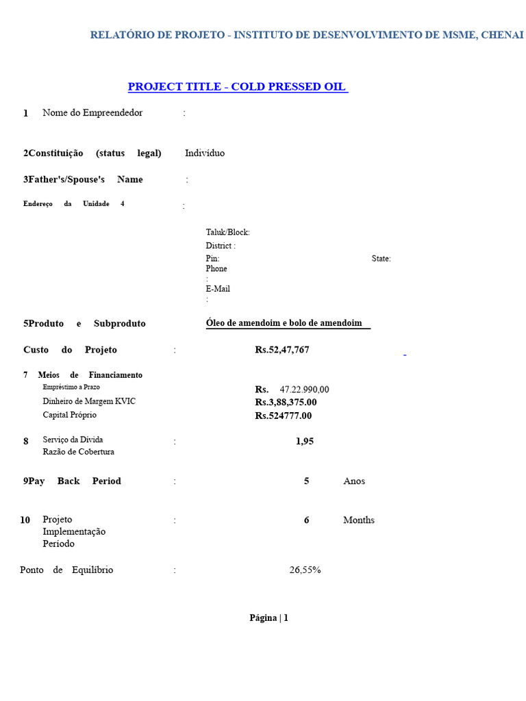 01.RELATÓRIO DO PROJETO - Oleo Processado A Frio | PDF | Amendoim | Despesa