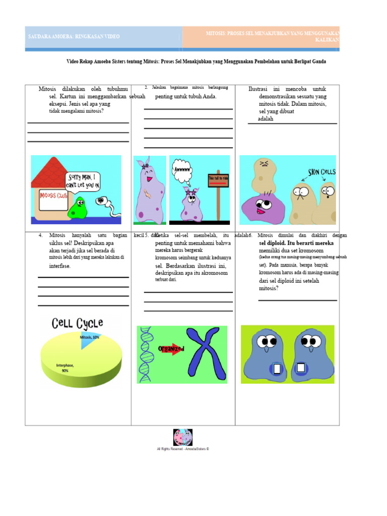 Rekap Video Tentang Mitosis Oleh Amoeba Sisters | PDF
