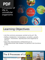 A2.1 Origins of Cells HL Only Guided Notes | PDF