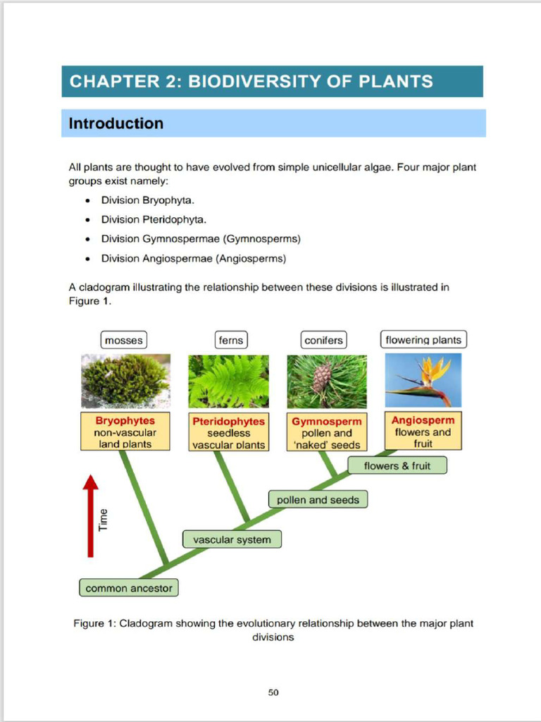 Biodiversity of Plants | PDF