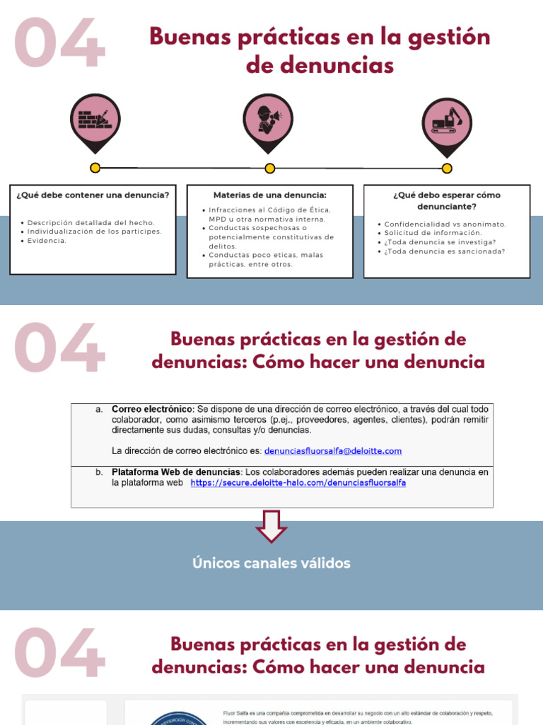 Gestion Canal de Denuncias Fluor Salfa | PDF
