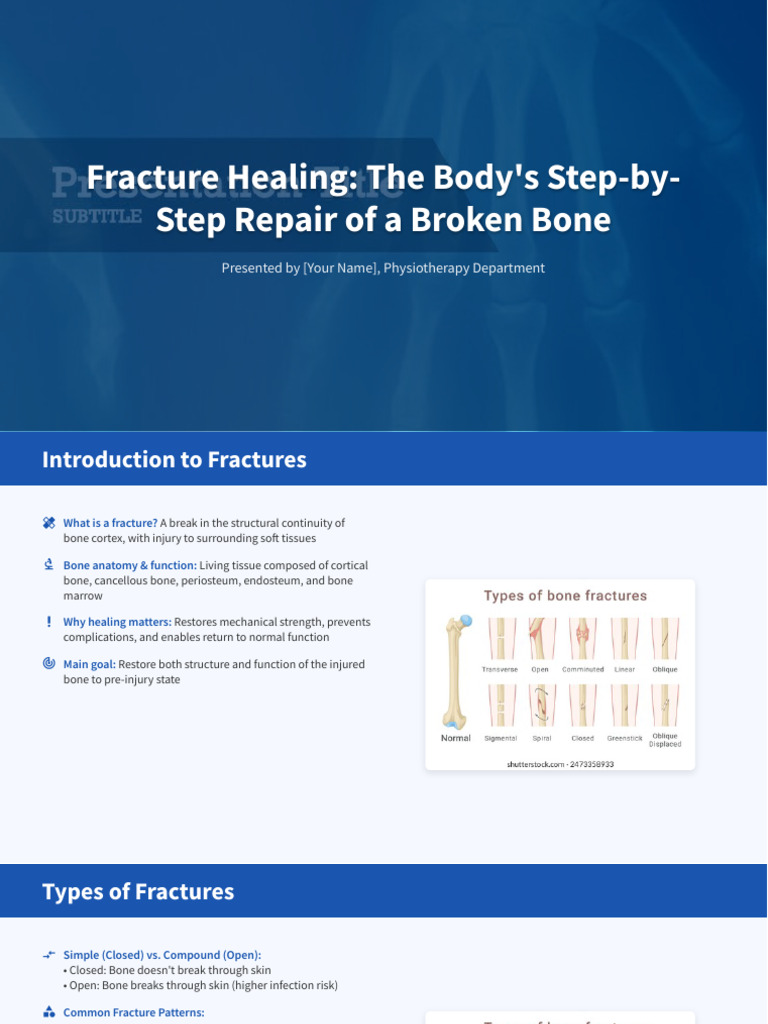 Fracture Healing_ the Body's Step-By-Step Repair of a Broken Bone | PDF | Bone | Skeletal System