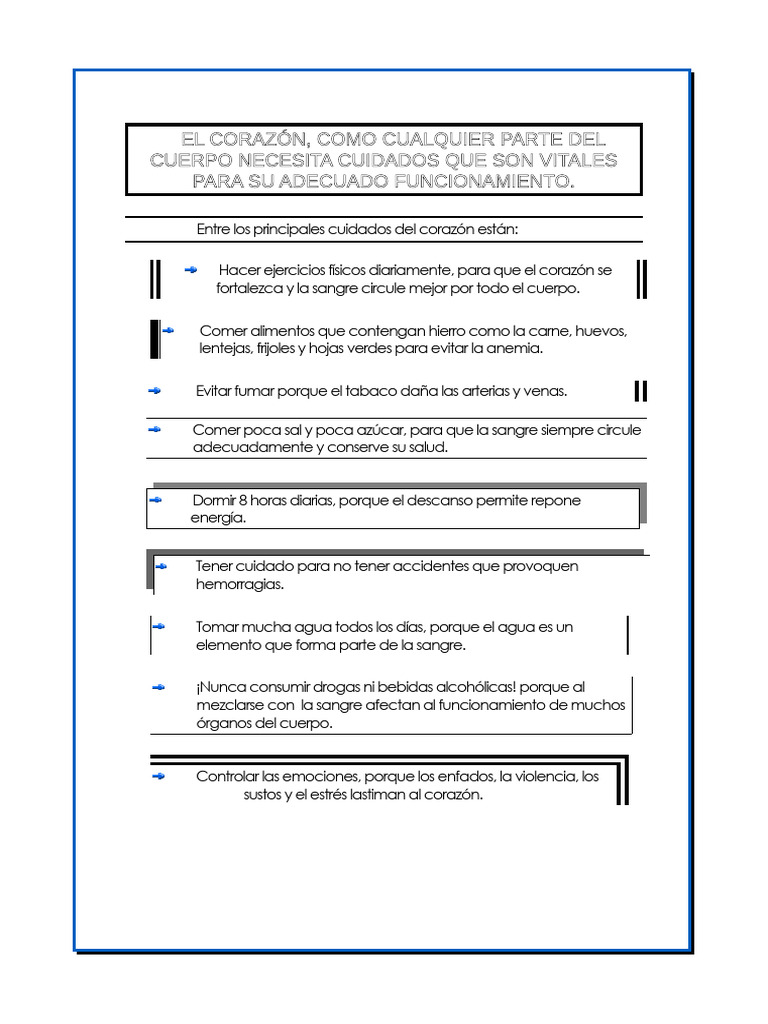Bordes | PDF