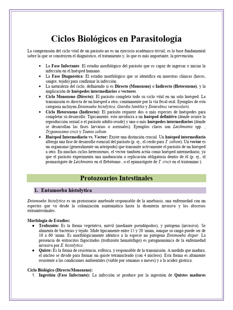 Ciclos Biológicos de Parásitos Intestinales | PDF