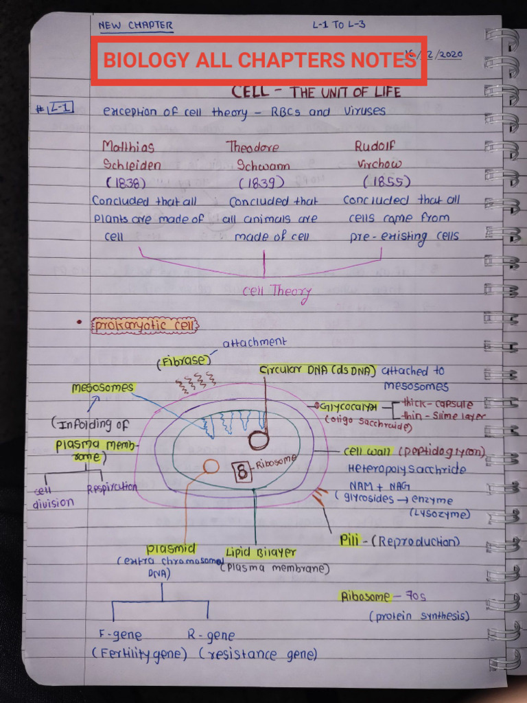 Biology All Chapters Notes | PDF