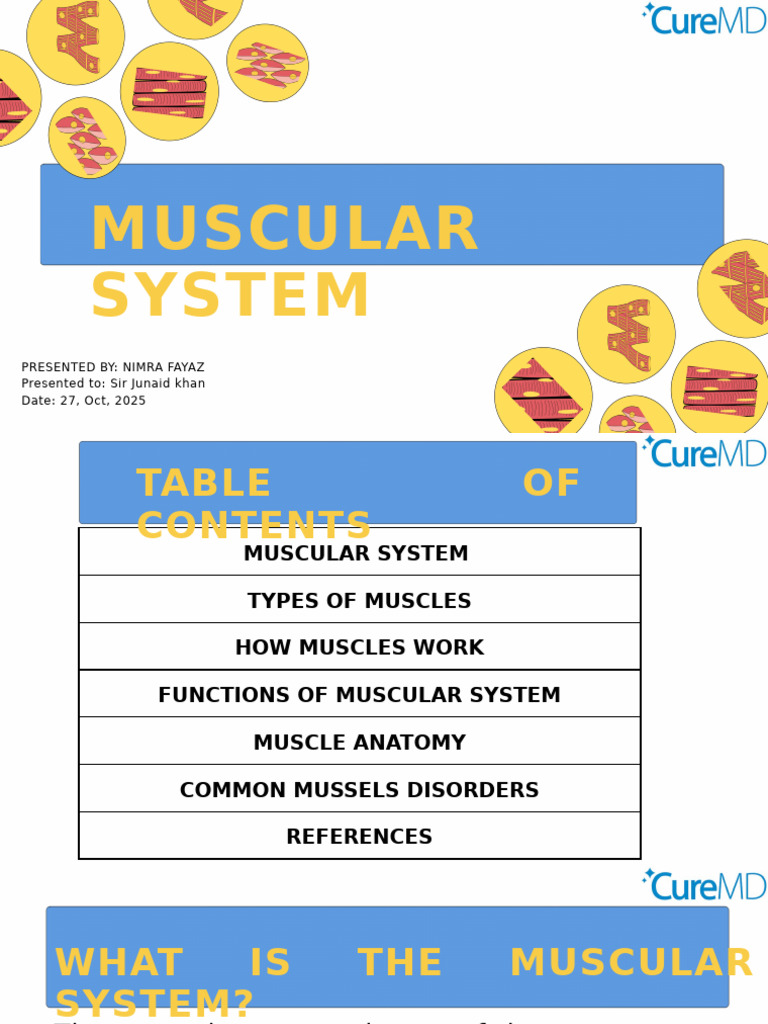 Muscular System | PDF | Muscle | Skeletal Muscle