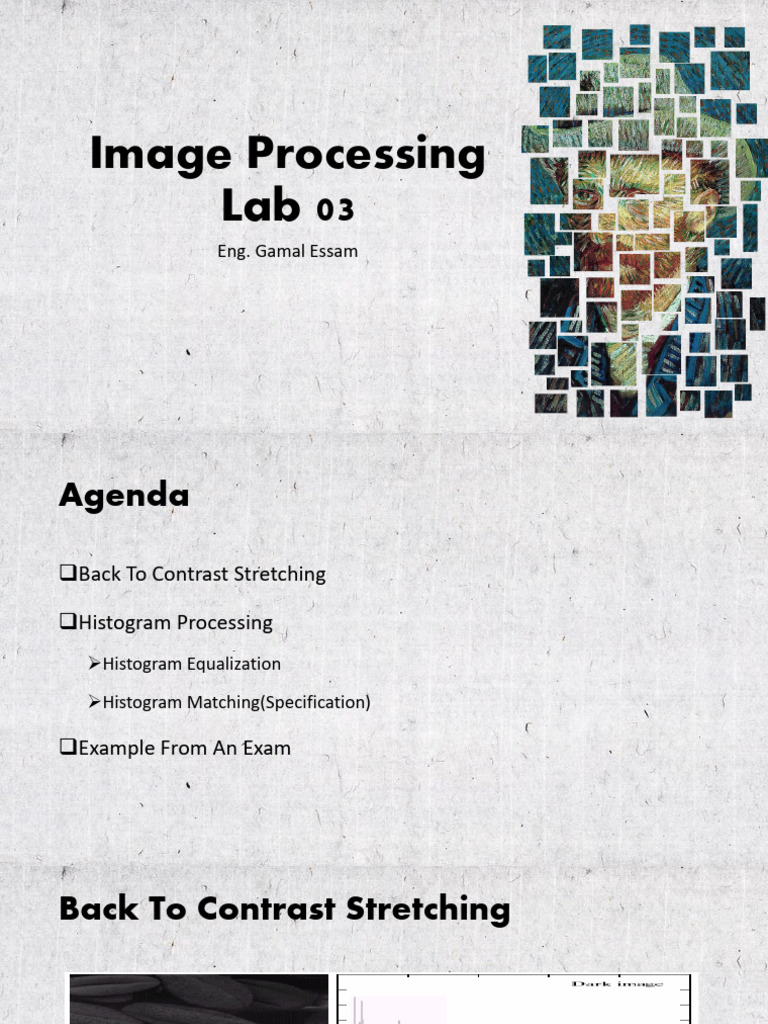 Image Processing Lab 03 | PDF | Histogram | Statistical Theory