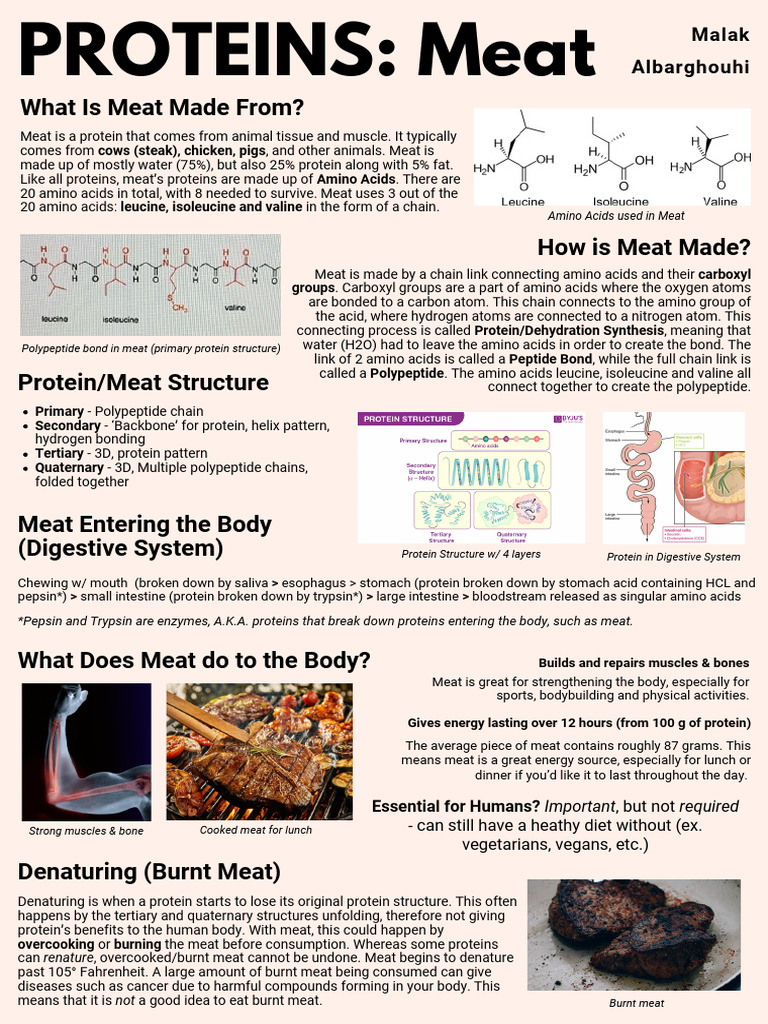 Proteins | PDF | Proteins | Amino Acid