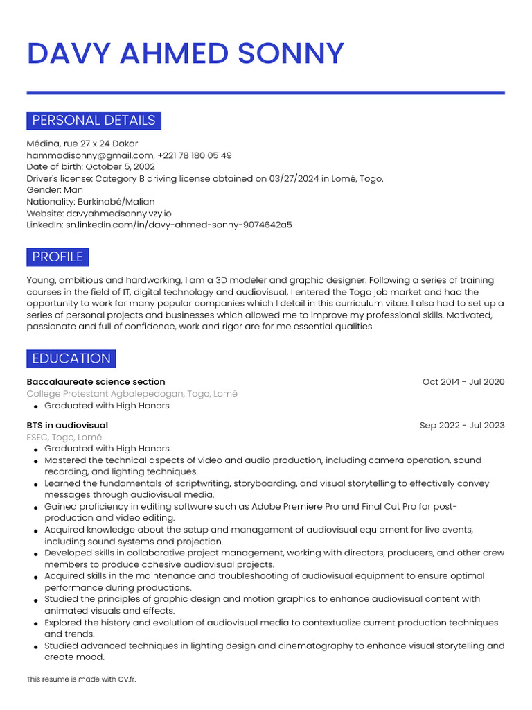 Curriculum Vitae Davy Ahmed SONNY - Final (English) PDF | PDF | 3 D ...