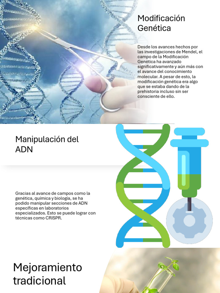 Avances en Modificación Genética y Aplicaciones | PDF | Ingeniería ...