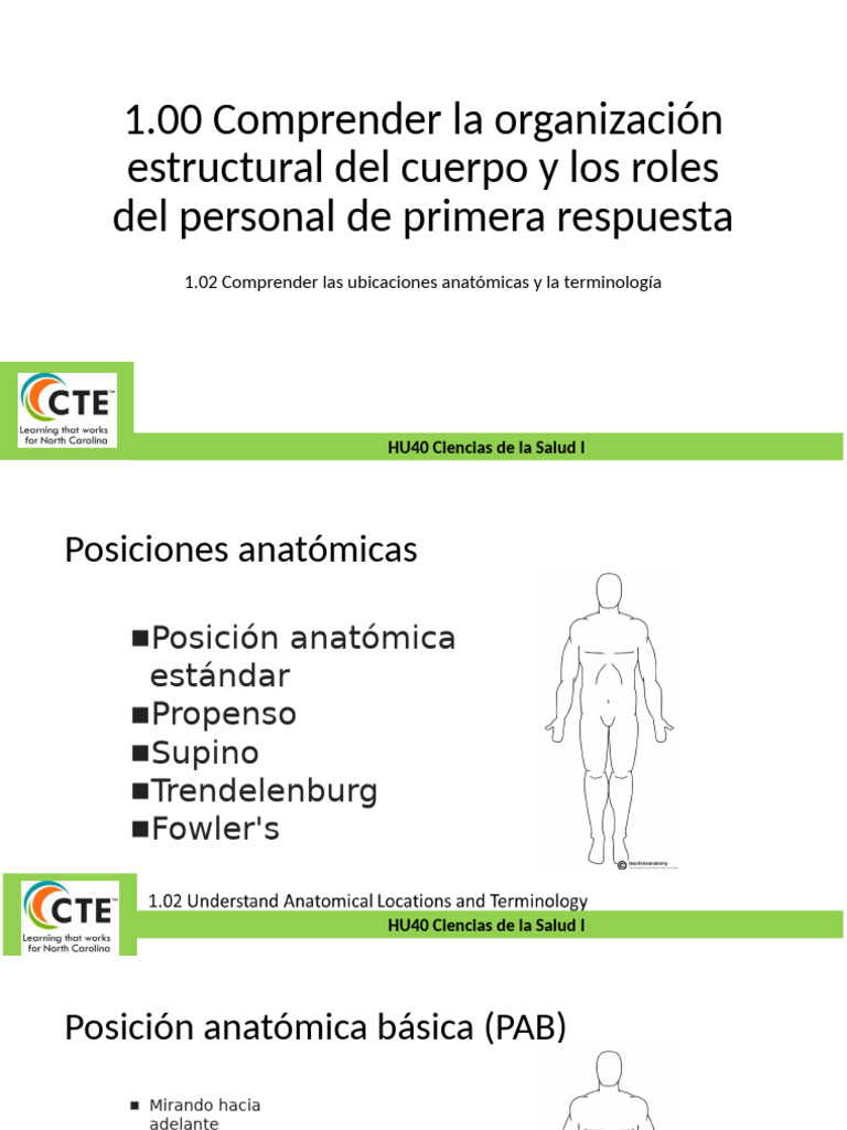 Spanish Verson 1.02 Directional Terms and Anatomical Positions Hines ...