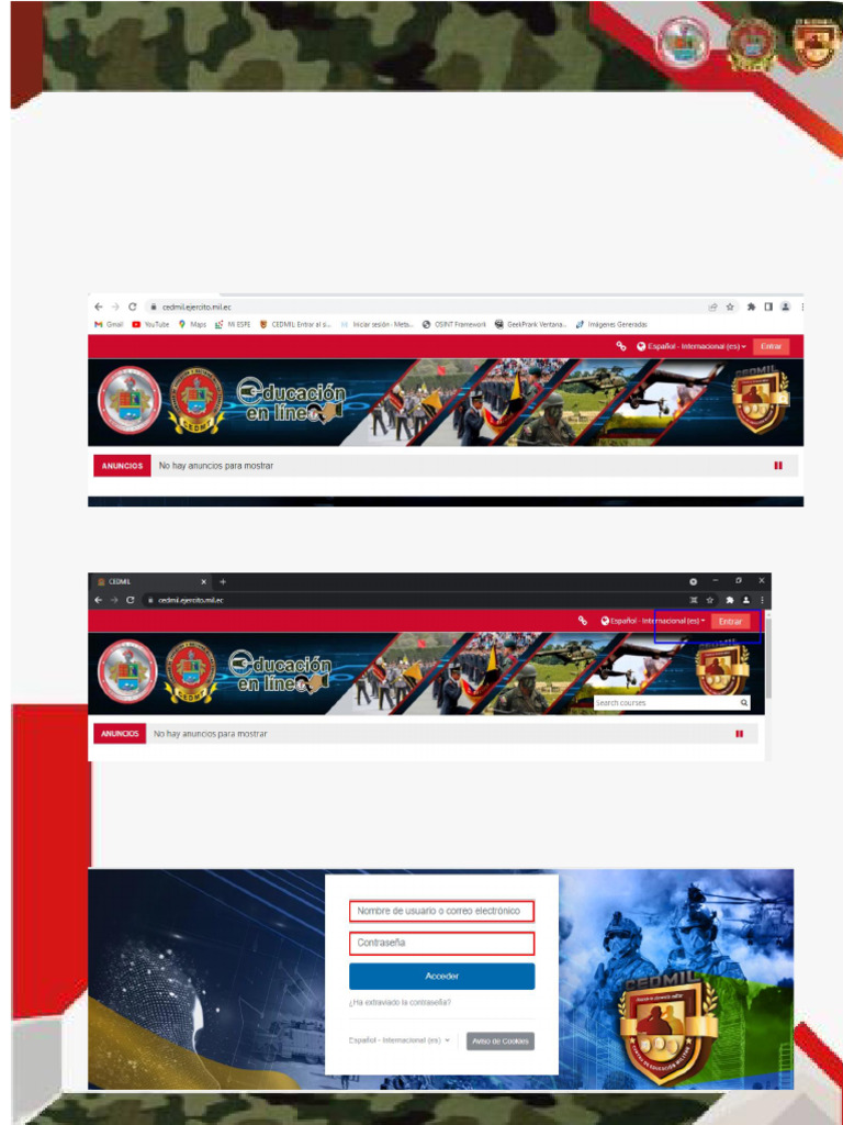 2.- Guia Cambio de Perfil 2024 | PDF