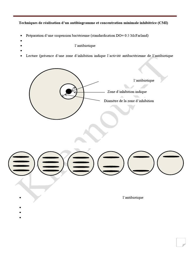 Techniques d'antibiogramme et CMI | PDF | Organismes | Laboratoires