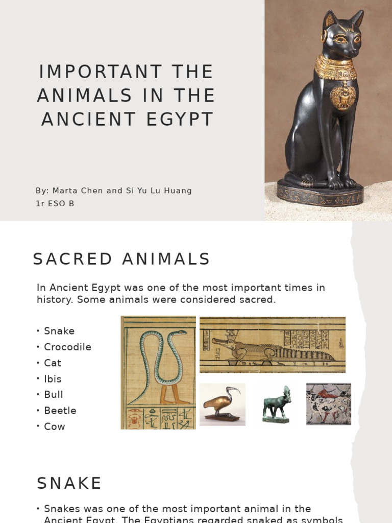 Sacred Animals of Ancient Egypt | PDF