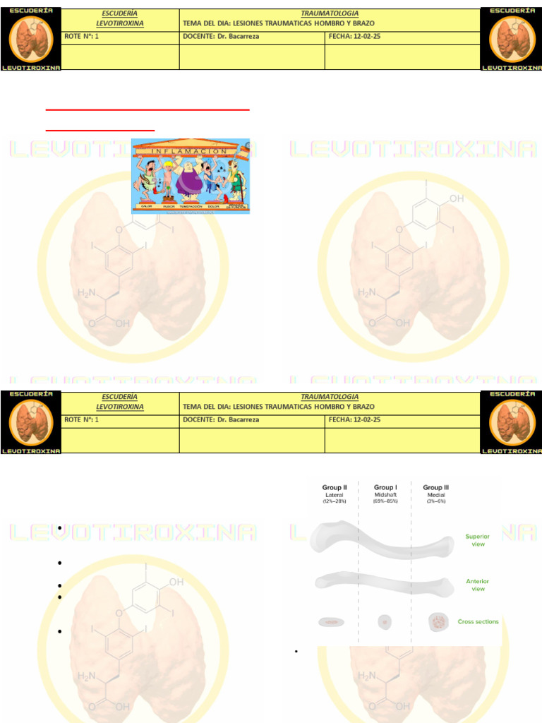 LEVO-T-R1-T7-T | PDF | Hombro | Articulaciones