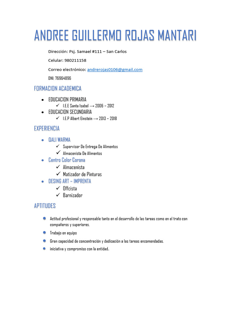 Andree Guillermo Rojas Mantari Cv | PDF