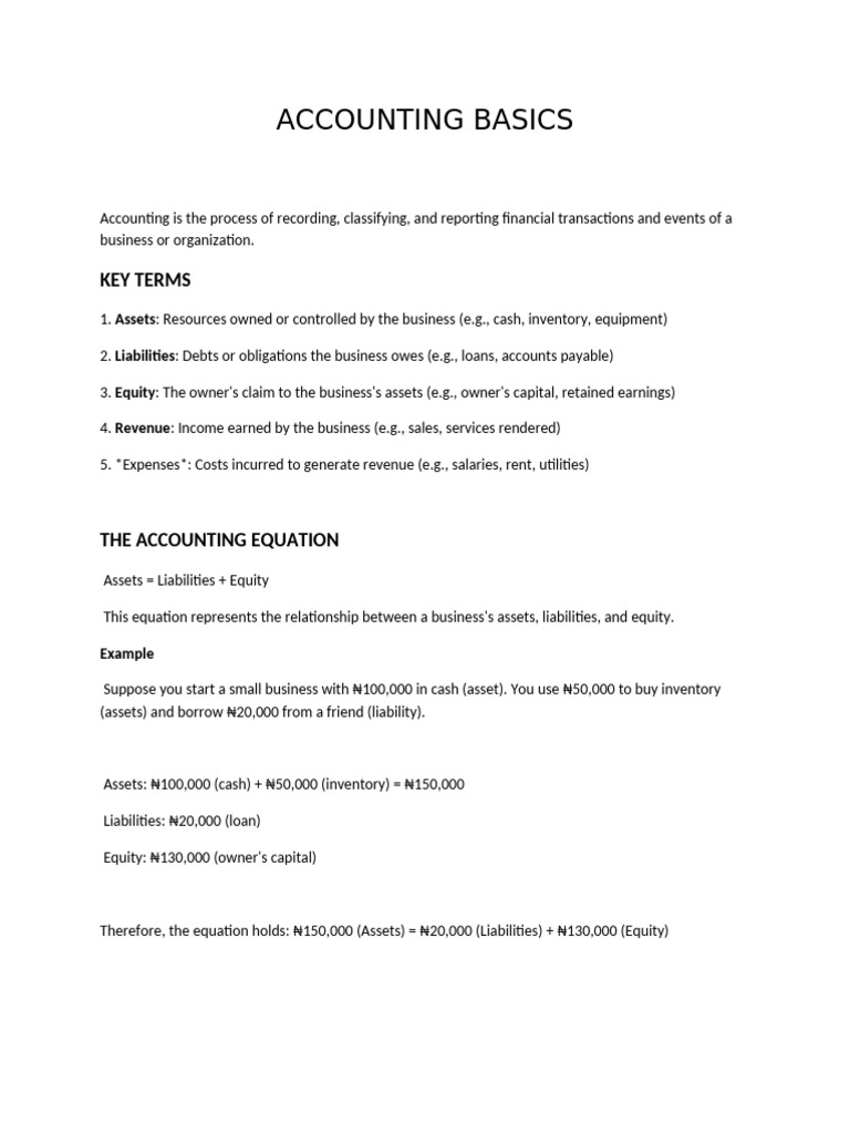 Understanding Accounting Basics | PDF