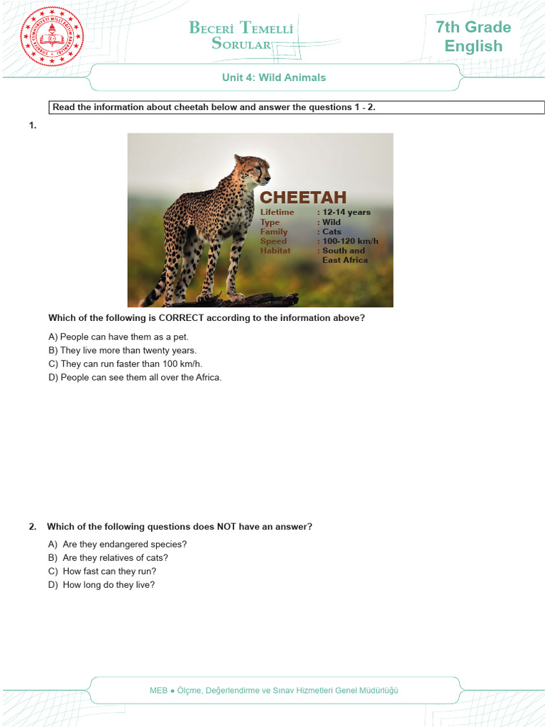 7_ing_4 | PDF | Wildlife | Giant Panda