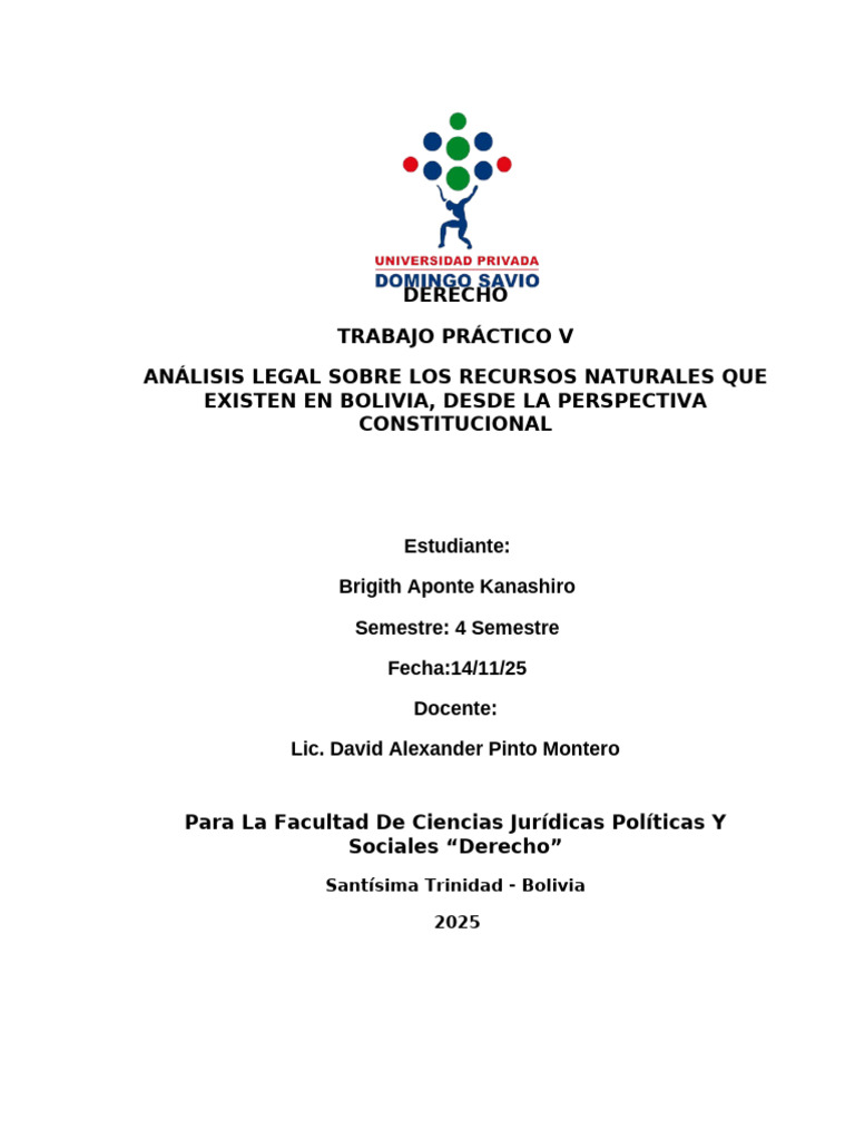 Brigith Análisis Legal Sobre Los Recursos Naturales | PDF | Bolivia | Minería