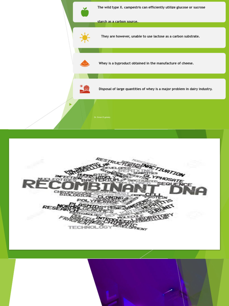 Biotechnology 7th lecture | PDF | Restriction Enzyme | Molecular Cloning