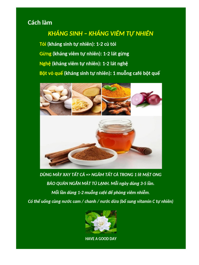 Khang Sinh Tu Nhien | PDF