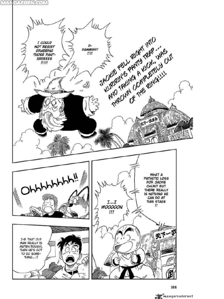 Dragon Ball 43 | PDF