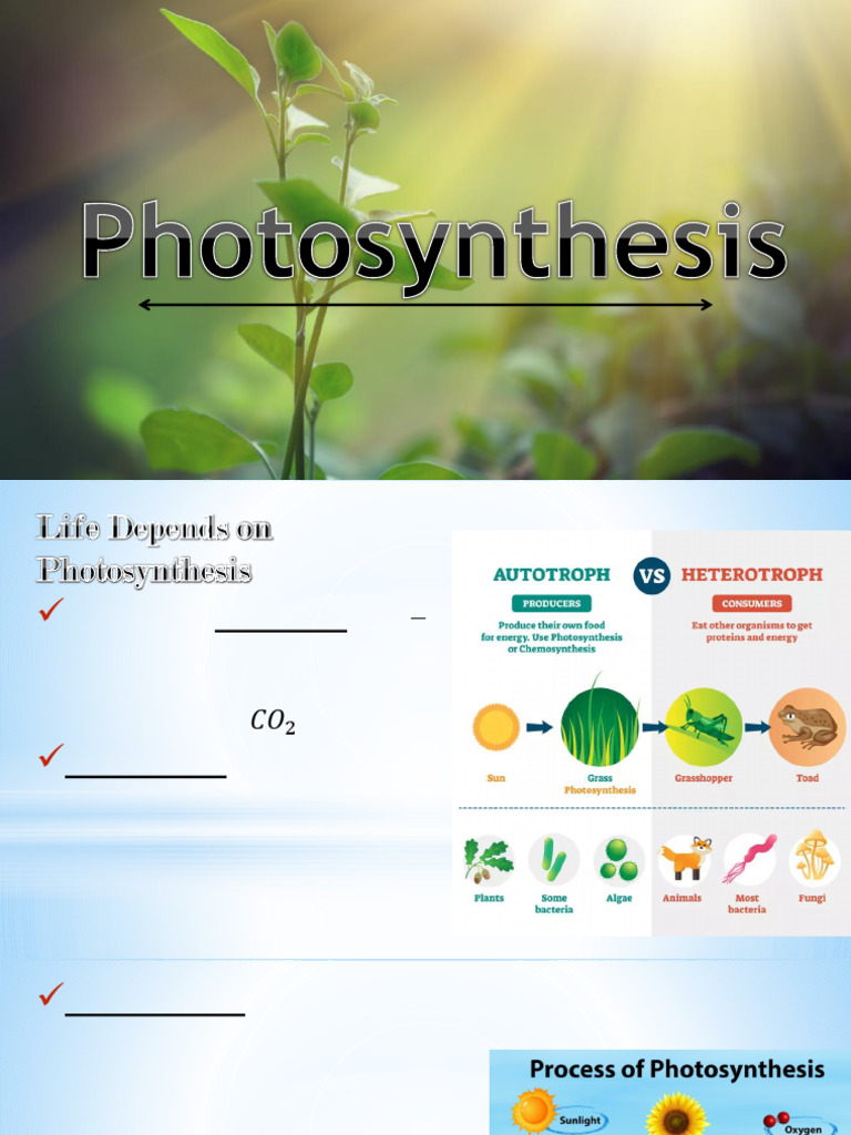Photosynthesis (Part 1) | PDF | Photosynthesis | Chloroplast