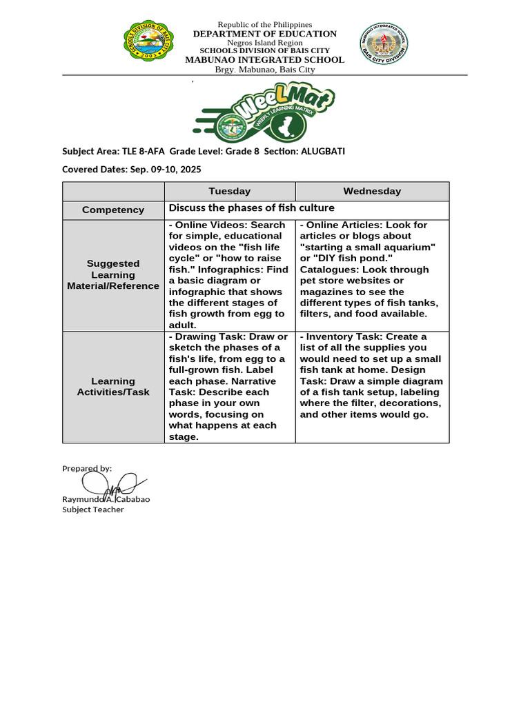 Grade 8 Afa | PDF