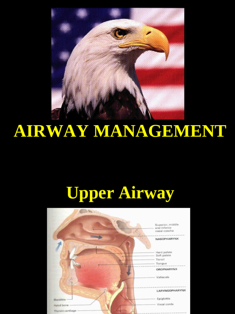 Airway Management | PDF