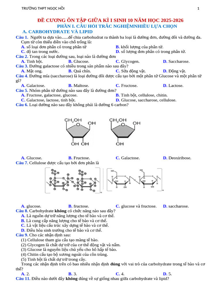 HS- Đề Cương Ôn KT Giữa Kì Sinh 10 Năm 2025-2026 | PDF