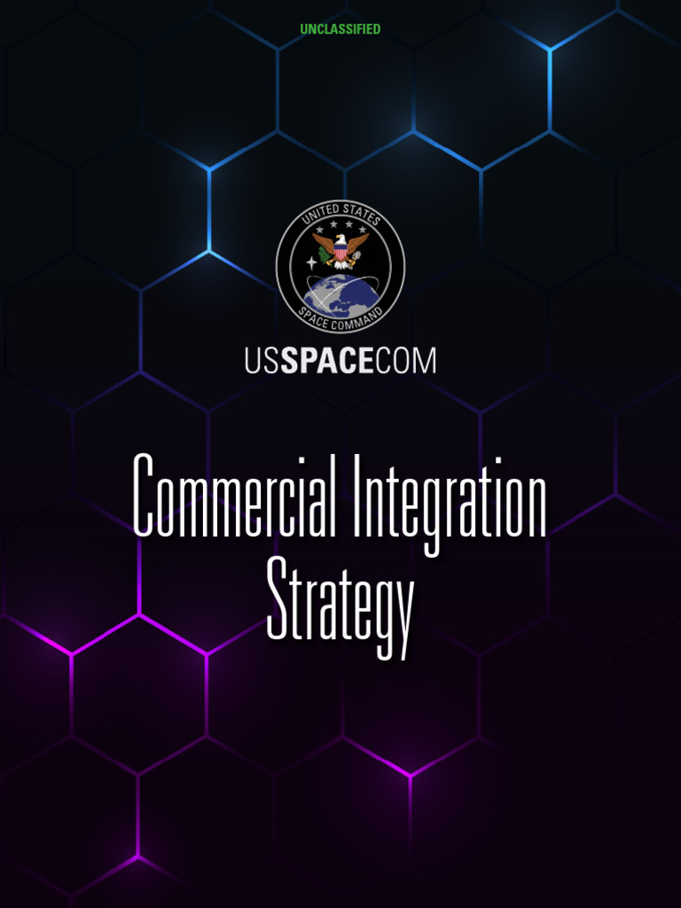 Commercial Integration Strategy Final 25 Mar 2025 | PDF | Governance