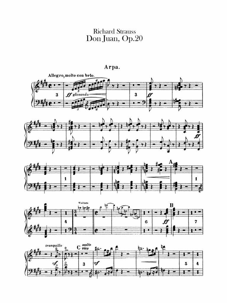 Strauss Don Juan, Op. 20 | PDF