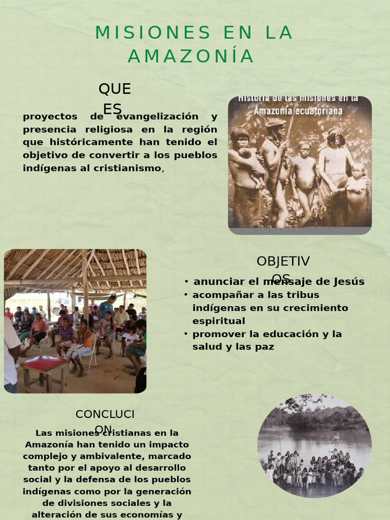 Cartel Póster Medio Ambiente Sustentable Moderno Verde_20251111_215012 ...