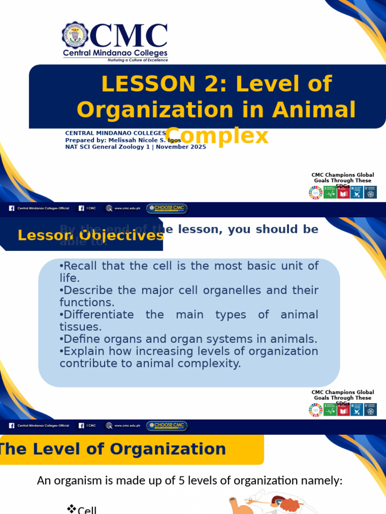 Gen Zoology Lesson 2 Reporting | PDF | Tissue (Biology) | Cell (Biology)