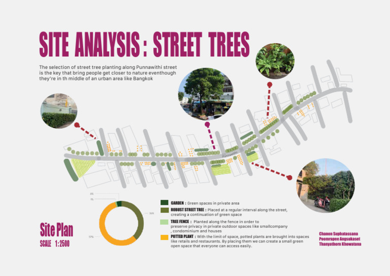 Street Trees Analysis | PDF