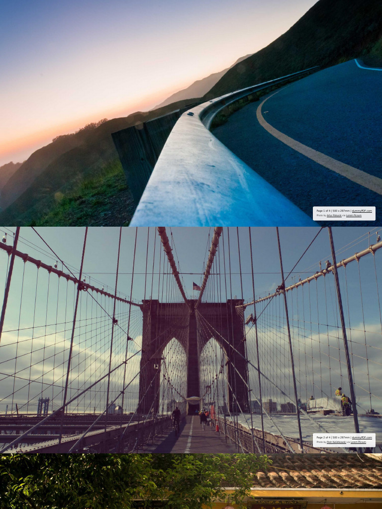 Dummy PDF with Sample Images | PDF