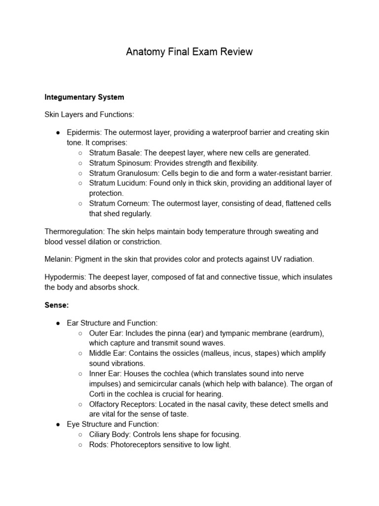 Anatomy Final Exam Review For RPN | PDF | Ear | Stomach