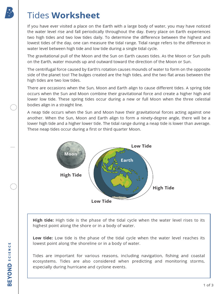Tides Acivity Worksheet | PDF | Tide | Moon