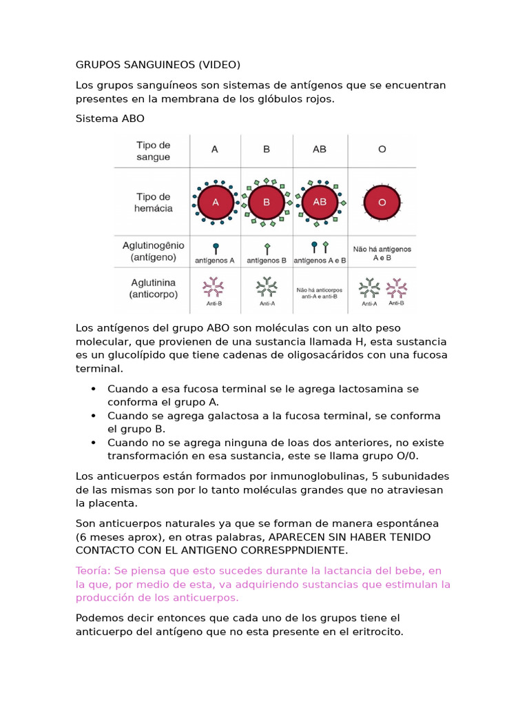 Grupos Sanguíneos: ABO y Rh Explicados | PDF | Tipo de sangre | Anticuerpo