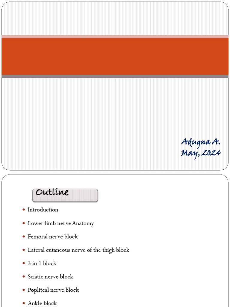 Lower Extrimity Anatomy & Blocks | PDF | Human Leg | Pelvis